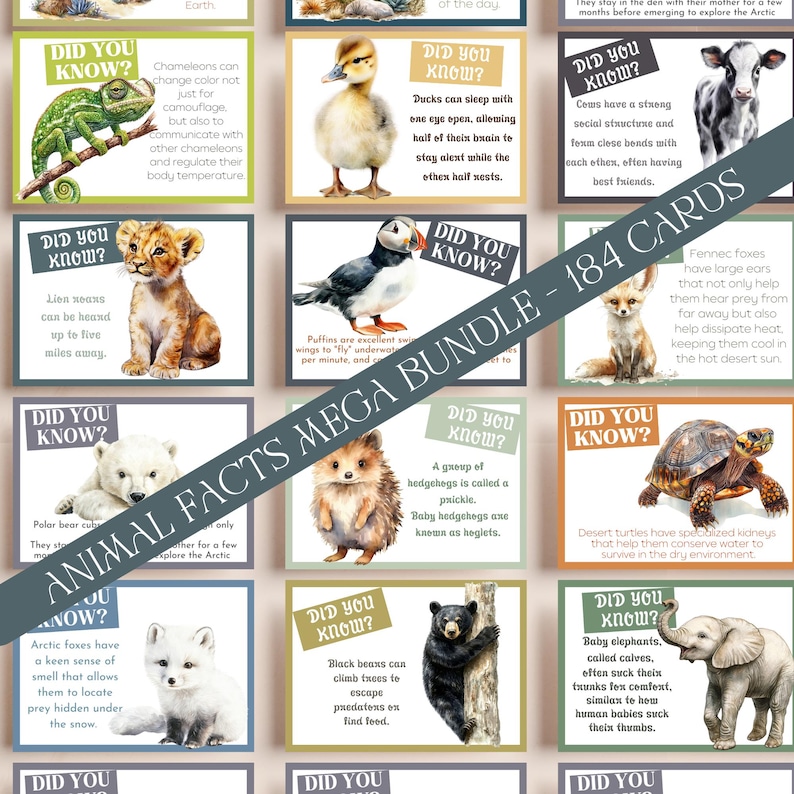 Animal Facts Lunchbox Notes for Kids: 184 Printable Cards (digital ...