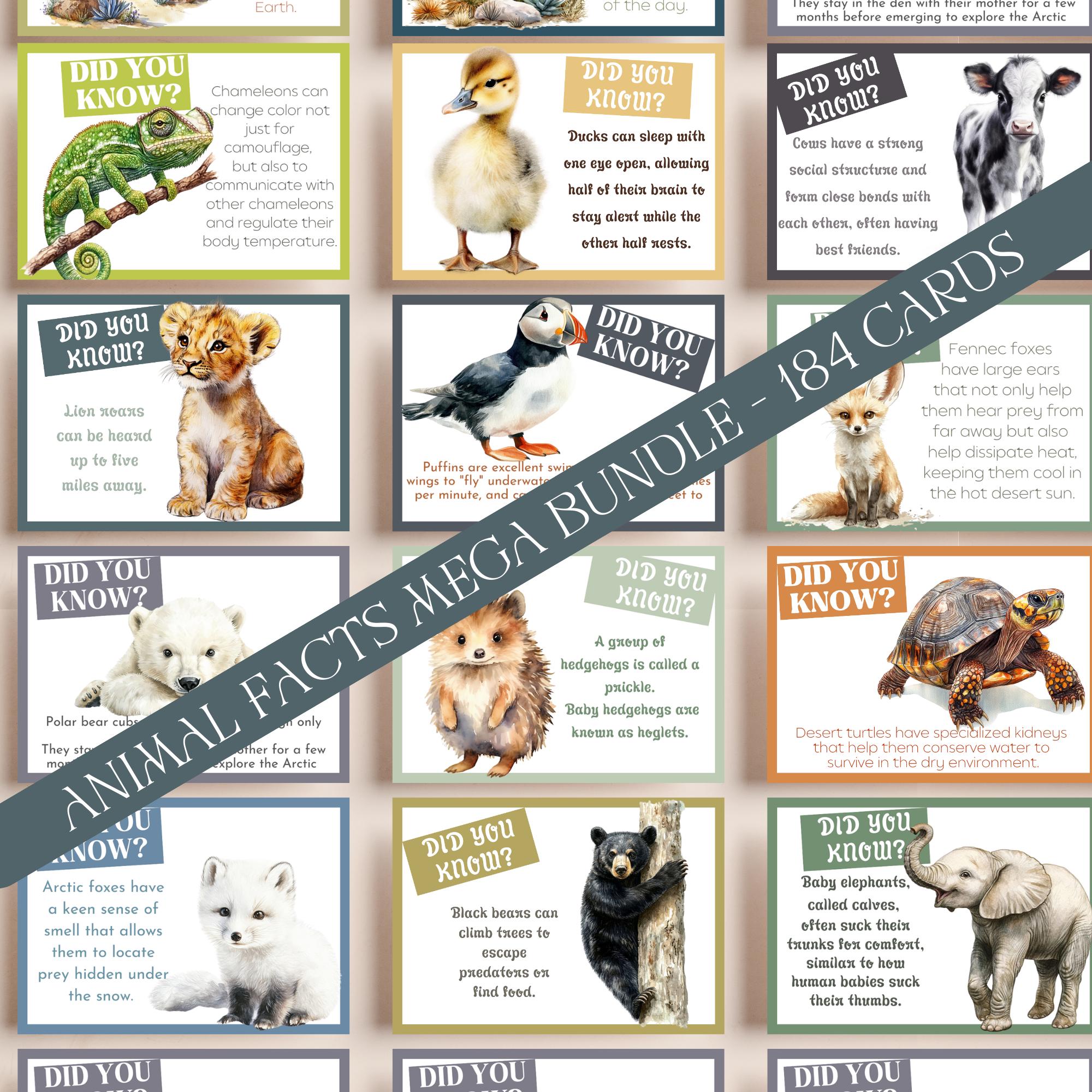 Animal Facts Lunchbox Notes for Kids: 184 Printable Cards (digital ...