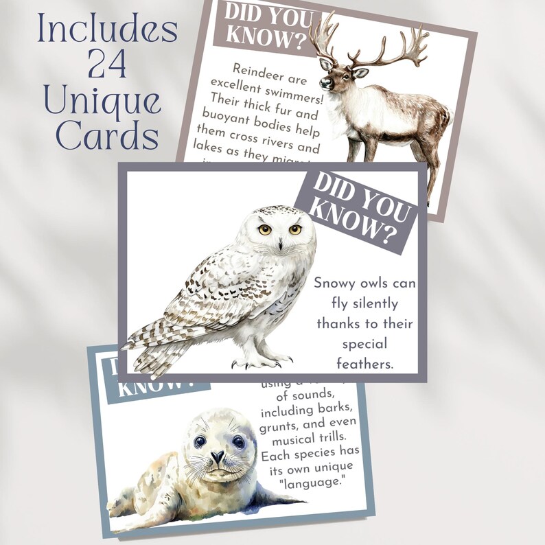 Arctic Animal Facts Lunchbox Notes: 24 Printable Cards (digital ...