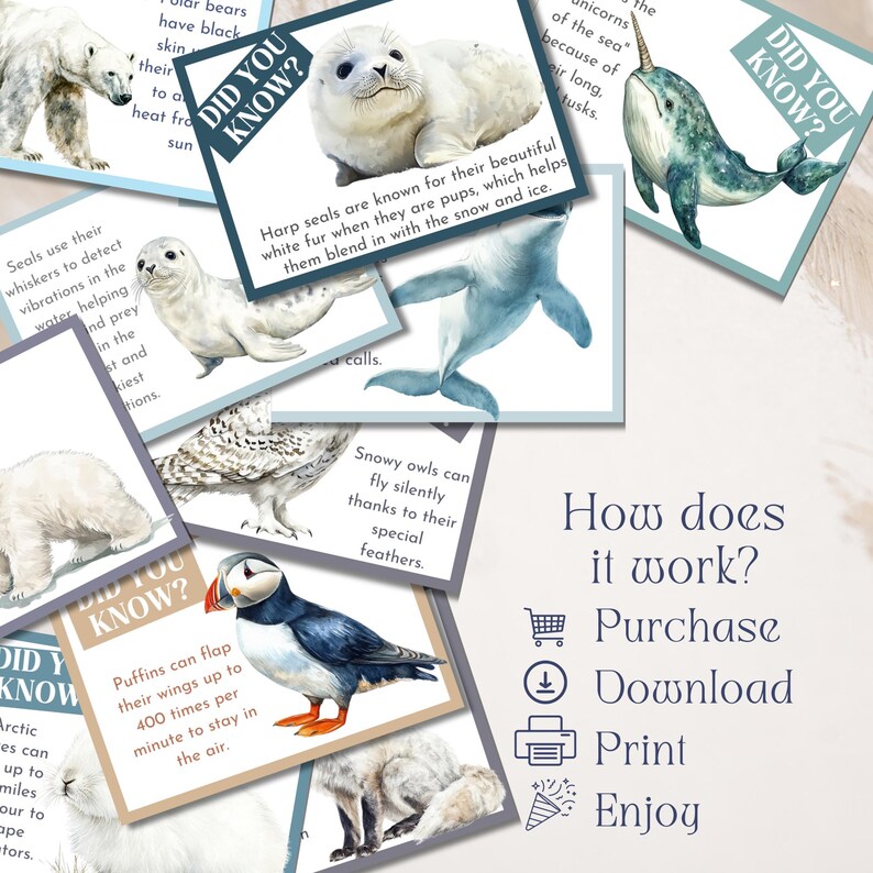 Arctic Animal Facts Lunchbox Notes: 24 Printable Cards (digital ...