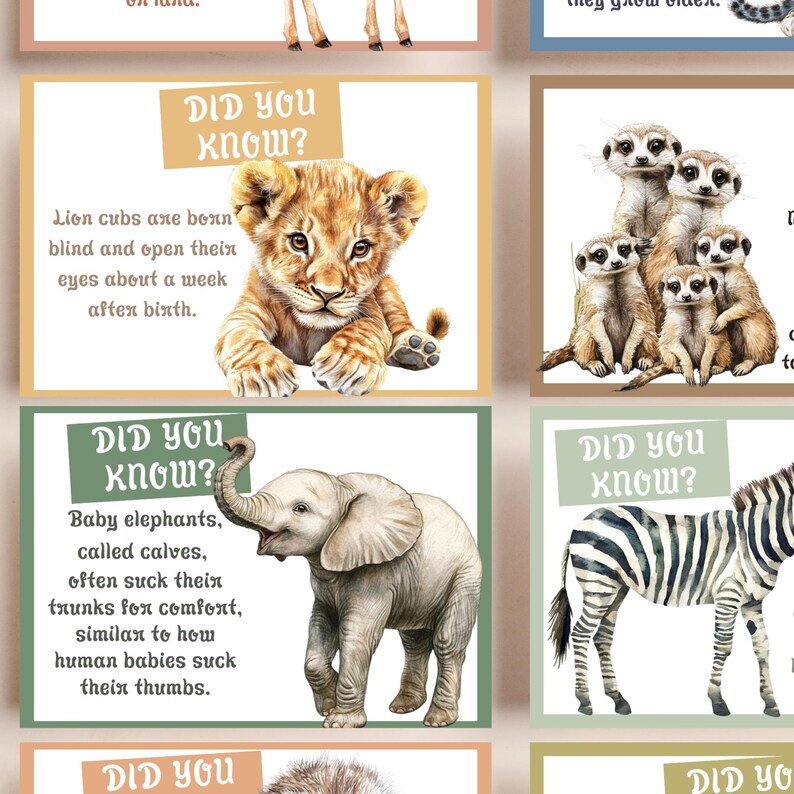 Safari Animal Facts Lunchbox Cards for Kids (printable) - Etsy