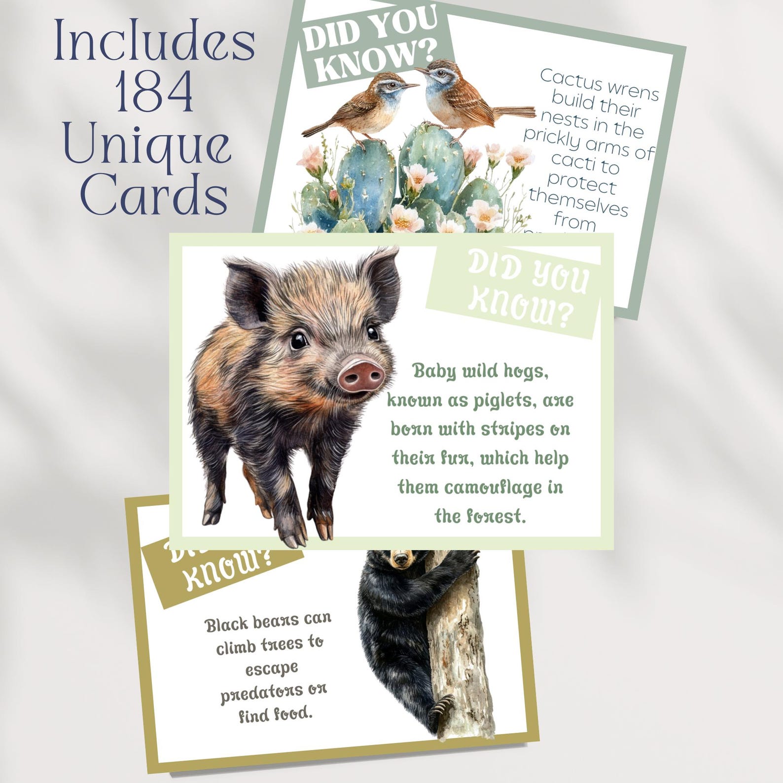 Huge Bundle Animal Facts Lunchbox Notes for Kids | Woodland Safari Farm ...