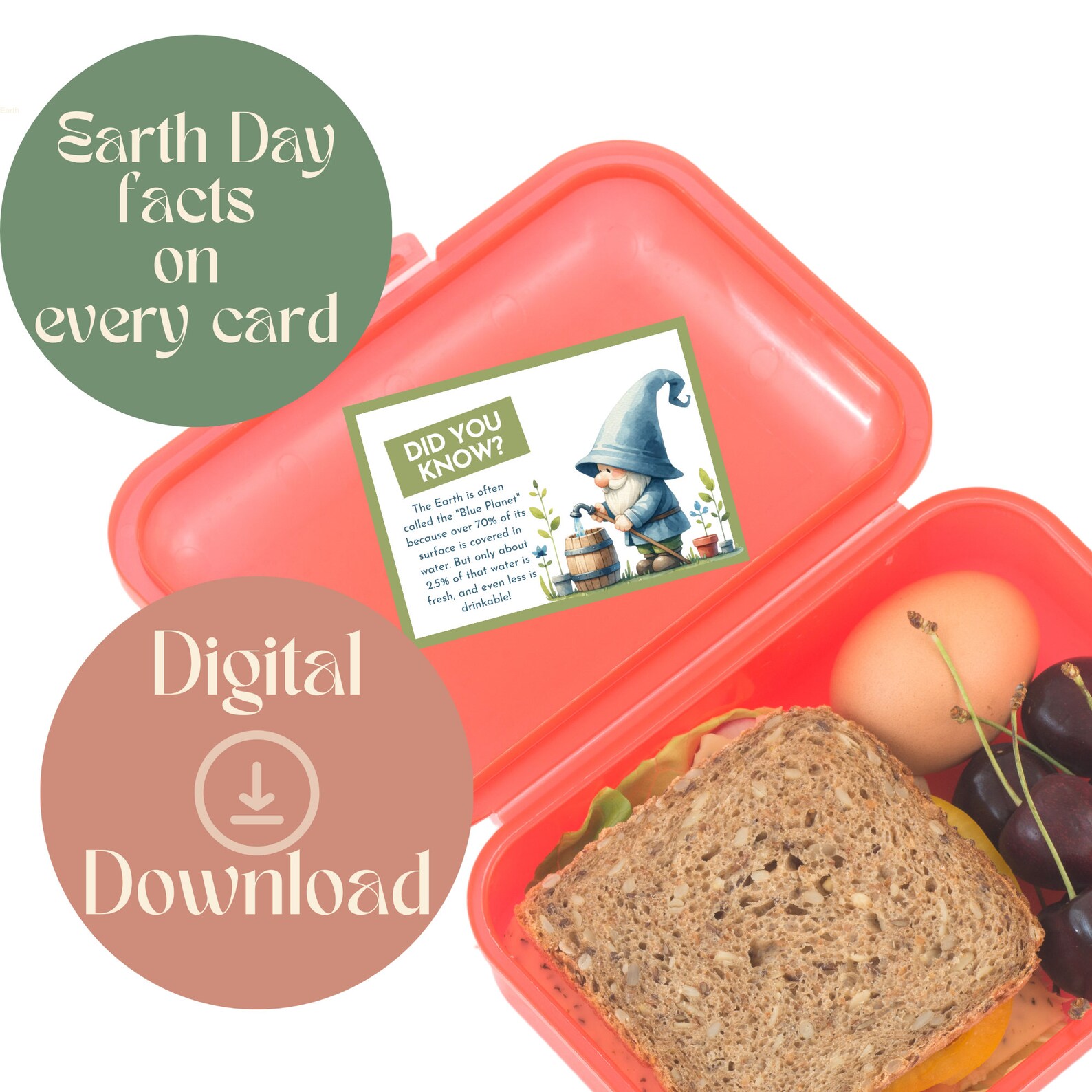 Earth Day Lunchbox Notes for Kids | Earth Day Facts | Science Facts for ...