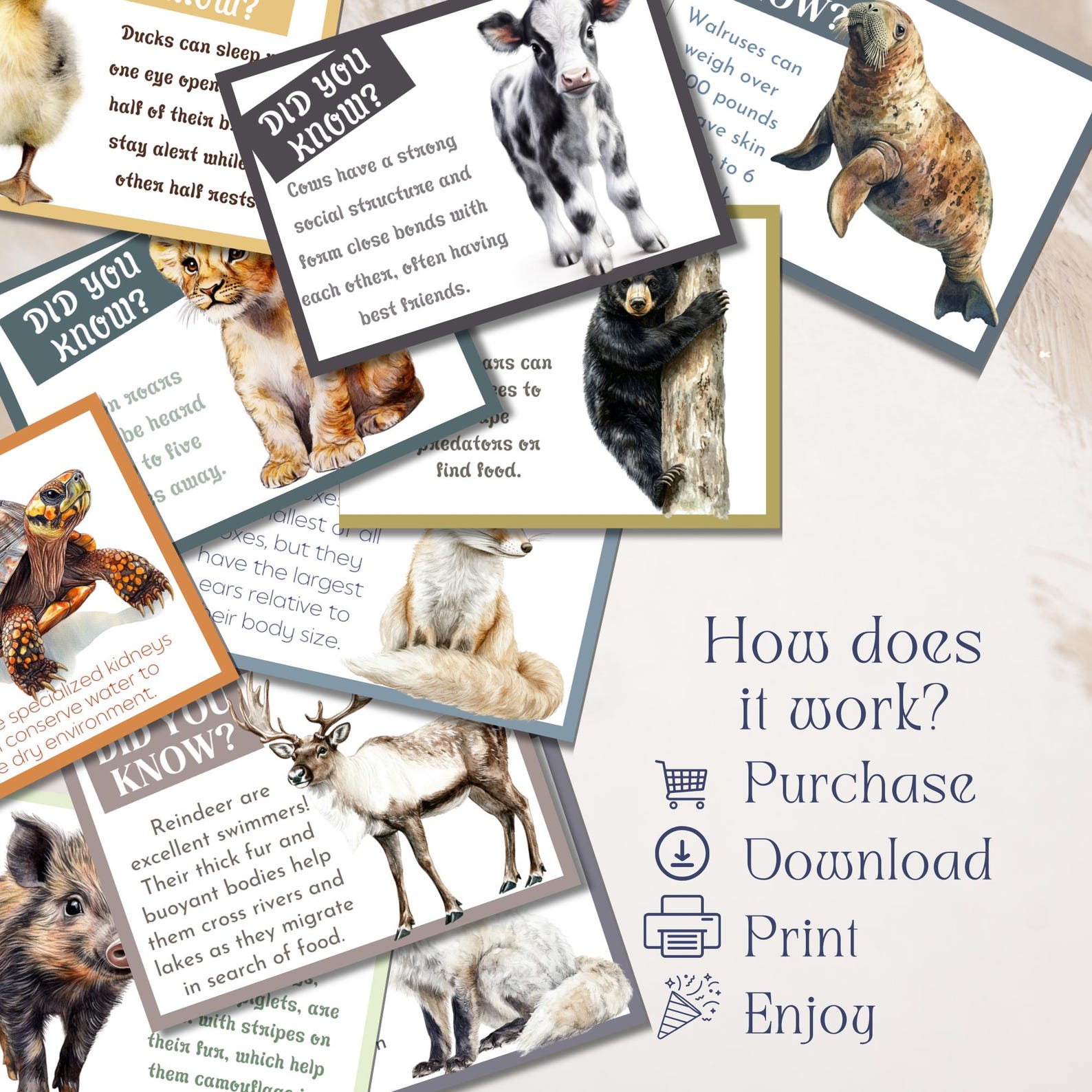 Huge Bundle Animal Facts Lunchbox Notes for Kids | Woodland Safari Farm ...