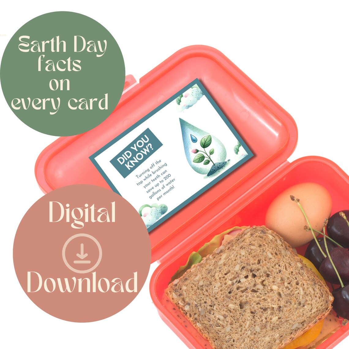 Earth Day Lunchbox Notes for Kids | Earth Day Facts | Conservation ...