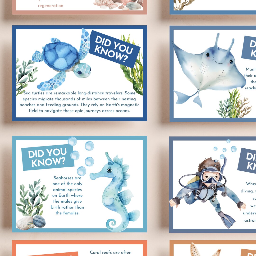 Marine Animal Facts Lunchbox Notes | Ocean Life Science | Sea Creatures ...