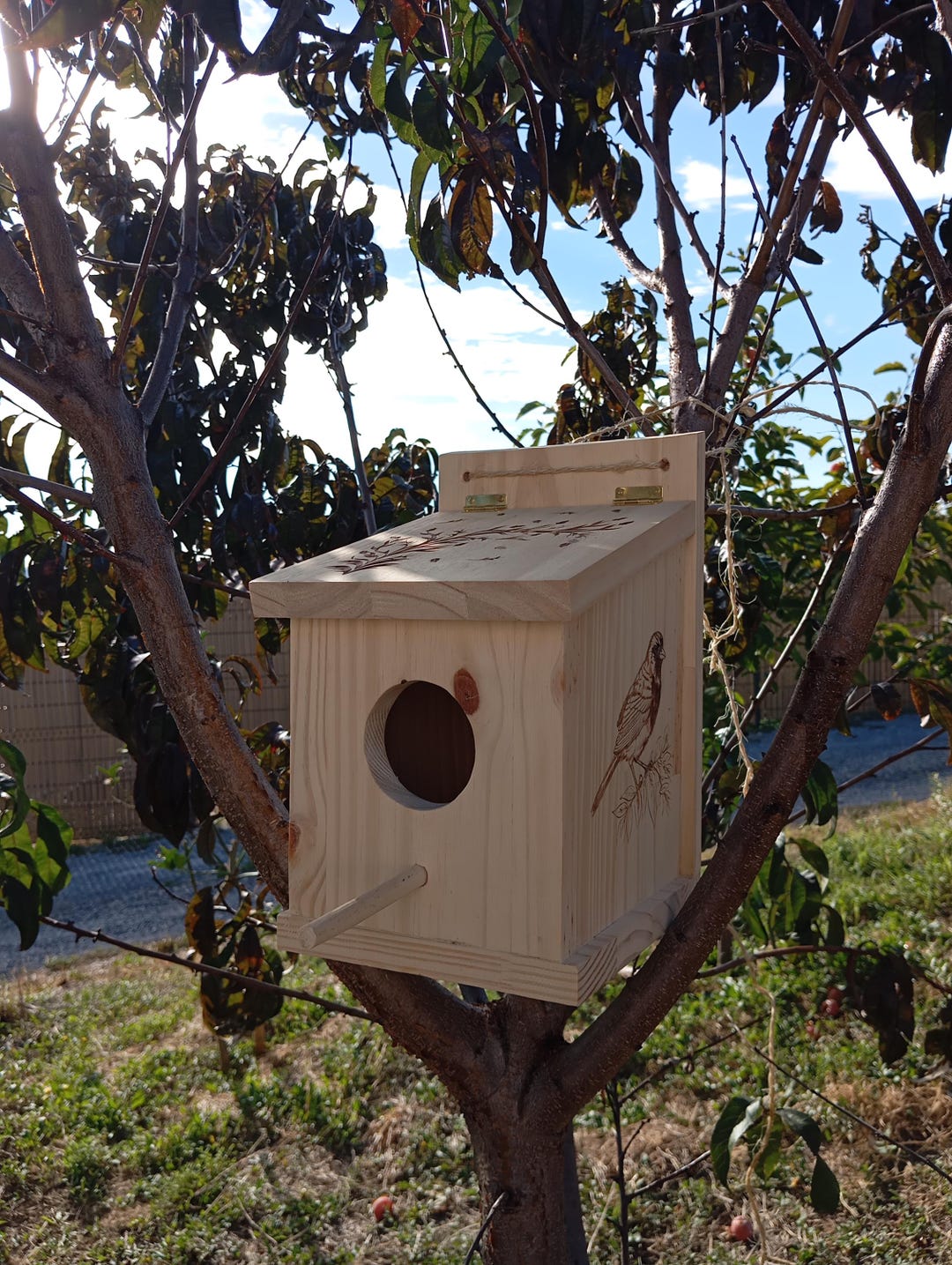 Birdhouse, Bird Shelter, Bird Nest Box, Bird House, Bird Nest, Wooden ...