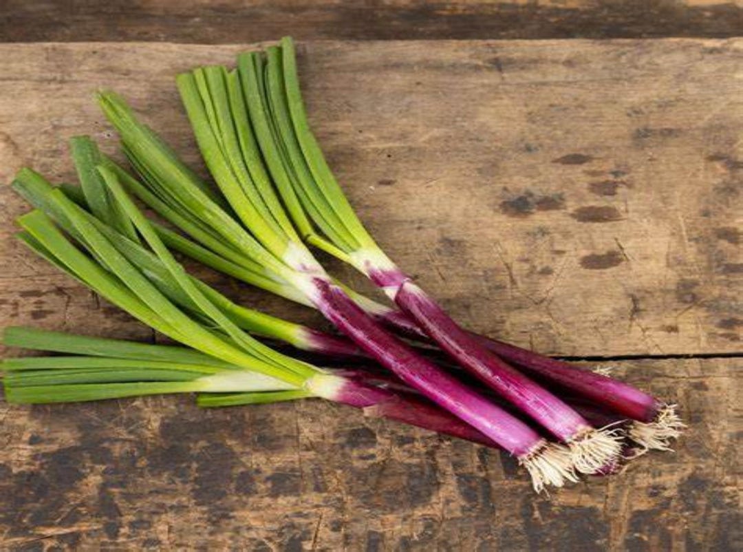 OS1498 Spring Onion Apache Onions 20 Seeds - Etsy Canada