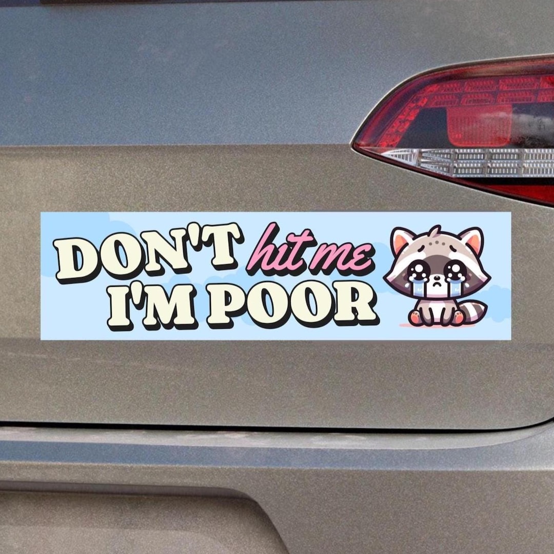 Dont Hit Me Im Poor, Please Dont Hit Me, Dont Hit Me Decals, Sad Cat ...