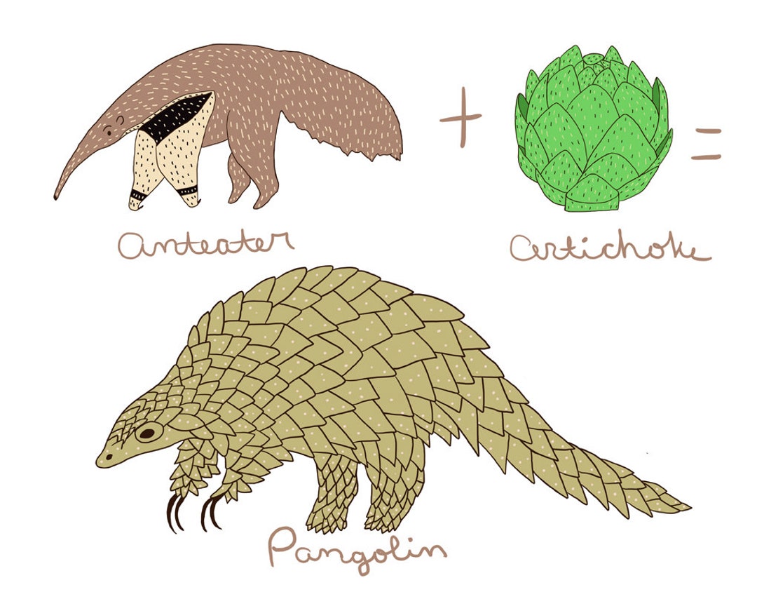 Recipe for a Pangolin Anteater Artichoke Humor Comics - Etsy