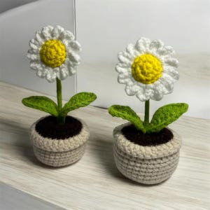 Crochet Daisy Pot,crochet Daisy, Crochet Flower in Pot, Desk Decoration ...