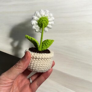 Crochet Daisy Pot,crochet Daisy, Crochet Flower in Pot, Desk Decoration ...