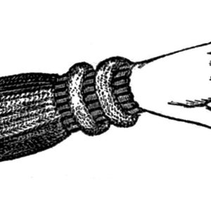 Antebellum Sontag Knitting Pattern 1860 PDF DOWNLOAD Civil War ...