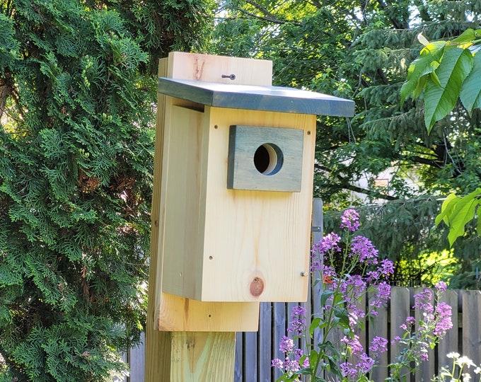 Bluebird House, Large Bird House, Nesting Box, Bluebird Nesting Box ...