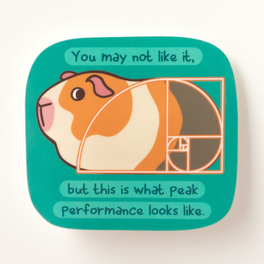 Guinea Pig Peak Performance Meme Sticker/ Laptop Stickers/ Die Cut ...