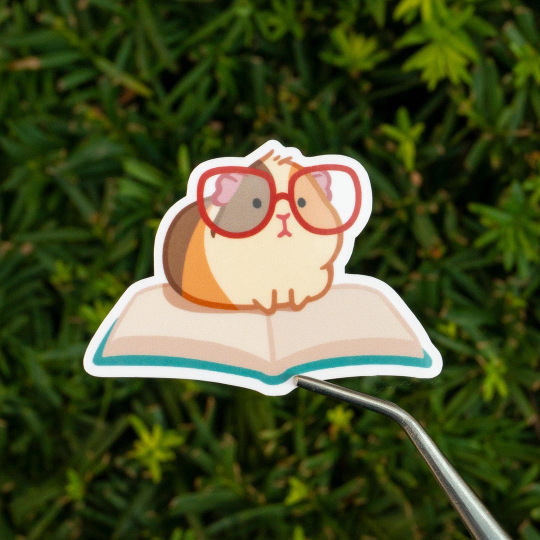 Guinea Pig Reading Book Sticker | Waterproof Vinyl Sticker for Laptop ...