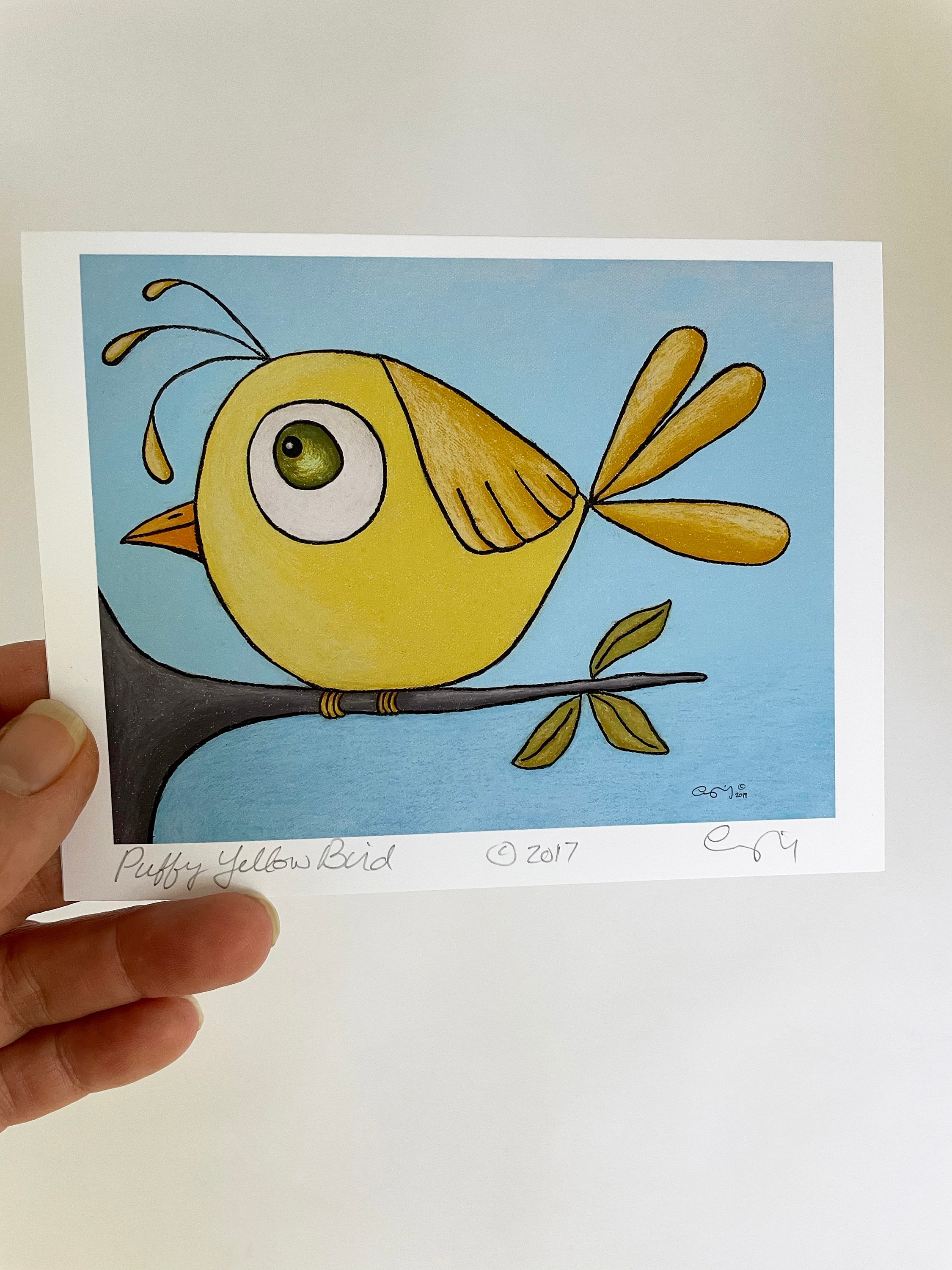 Bright Happy Bird Boxed Greeting Cards Set, Funny Bird Art, Colorful ...