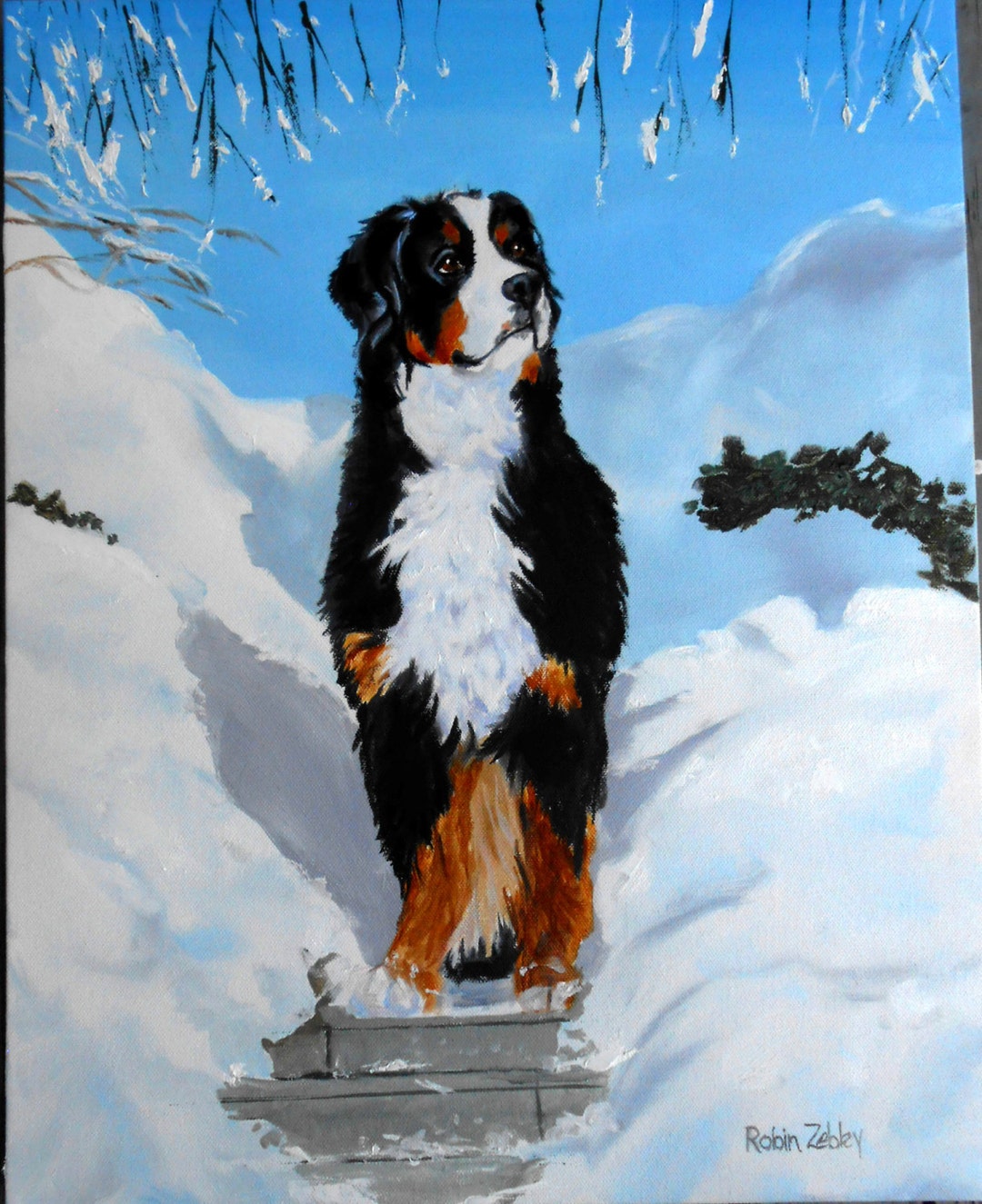 Bernaise Mountain Dog Custom Portrait Painting, Fine Art Oils on Canvas ...
