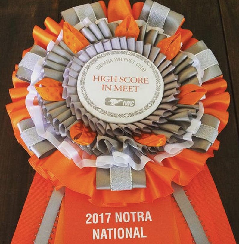 Giant Size Personalized Award Ribbon Custom Printed Metal | Etsy