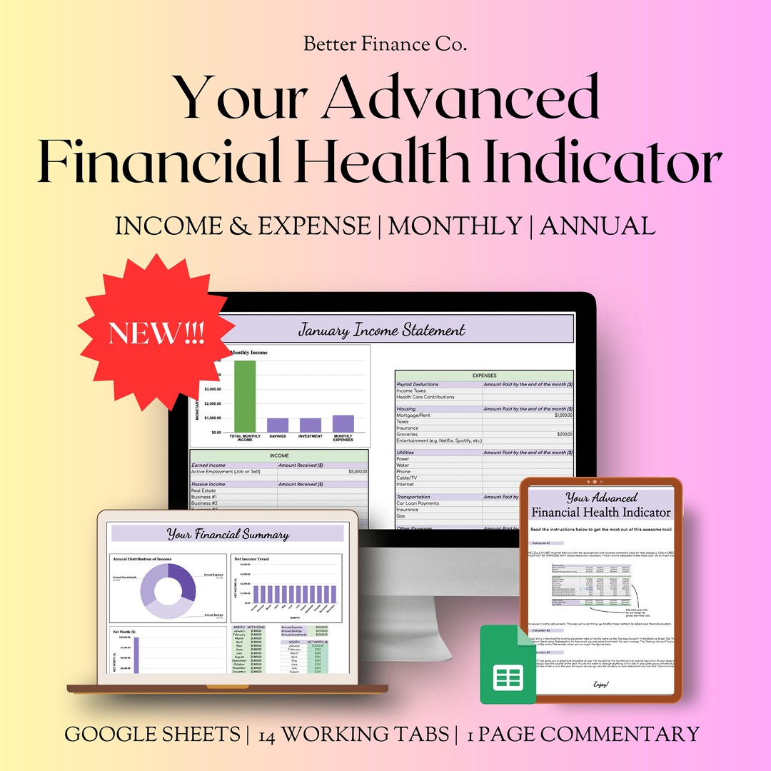 Your Advanced Financial Health Indicator GOOGLE SHEETS TEMPLATE - Etsy