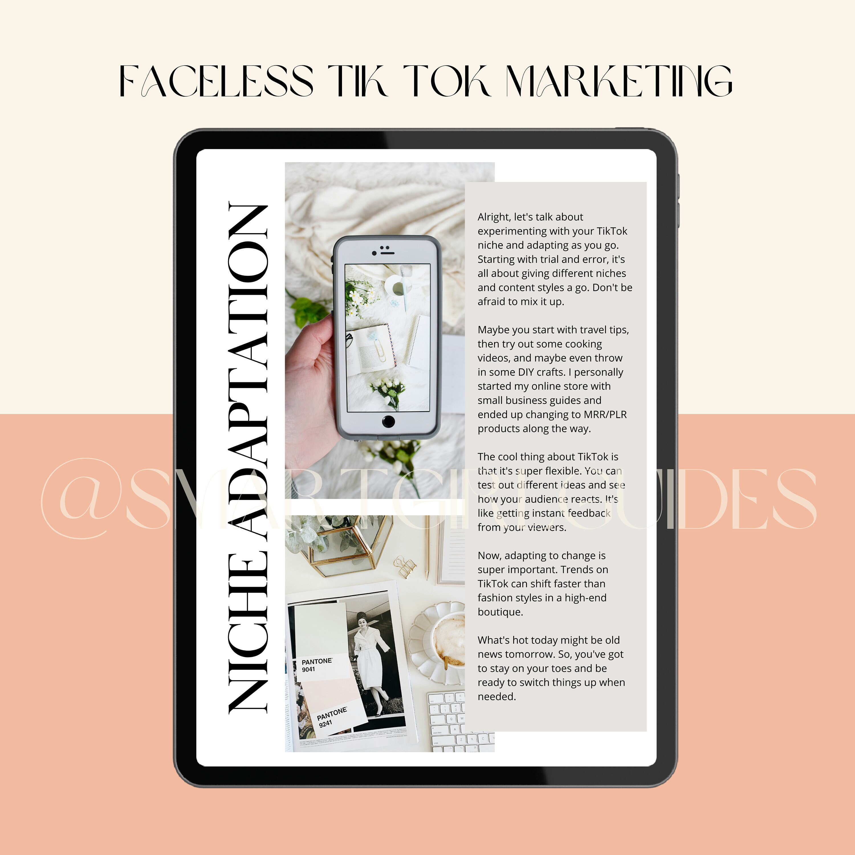 Faceless Go Viral on Tik Tok Guide With Master Resell Rights MRR ...