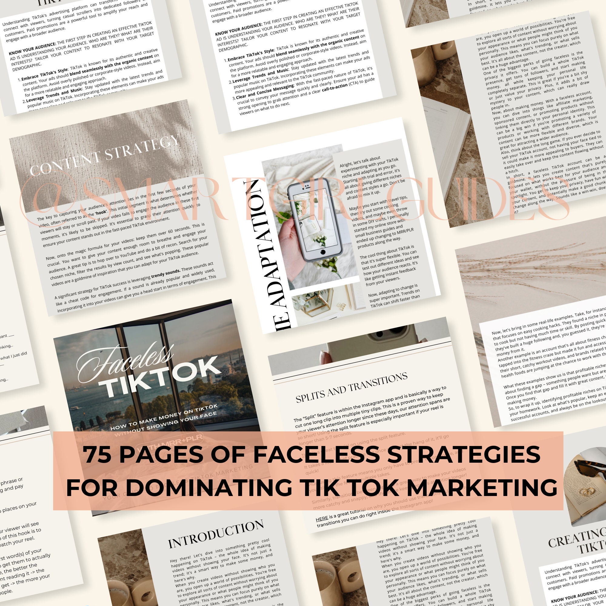 Faceless Go Viral on Tik Tok Guide With Master Resell Rights MRR ...