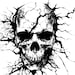 Skull Vector Art: Skeleton SVG, Transparent PNG (instant Download) - Etsy