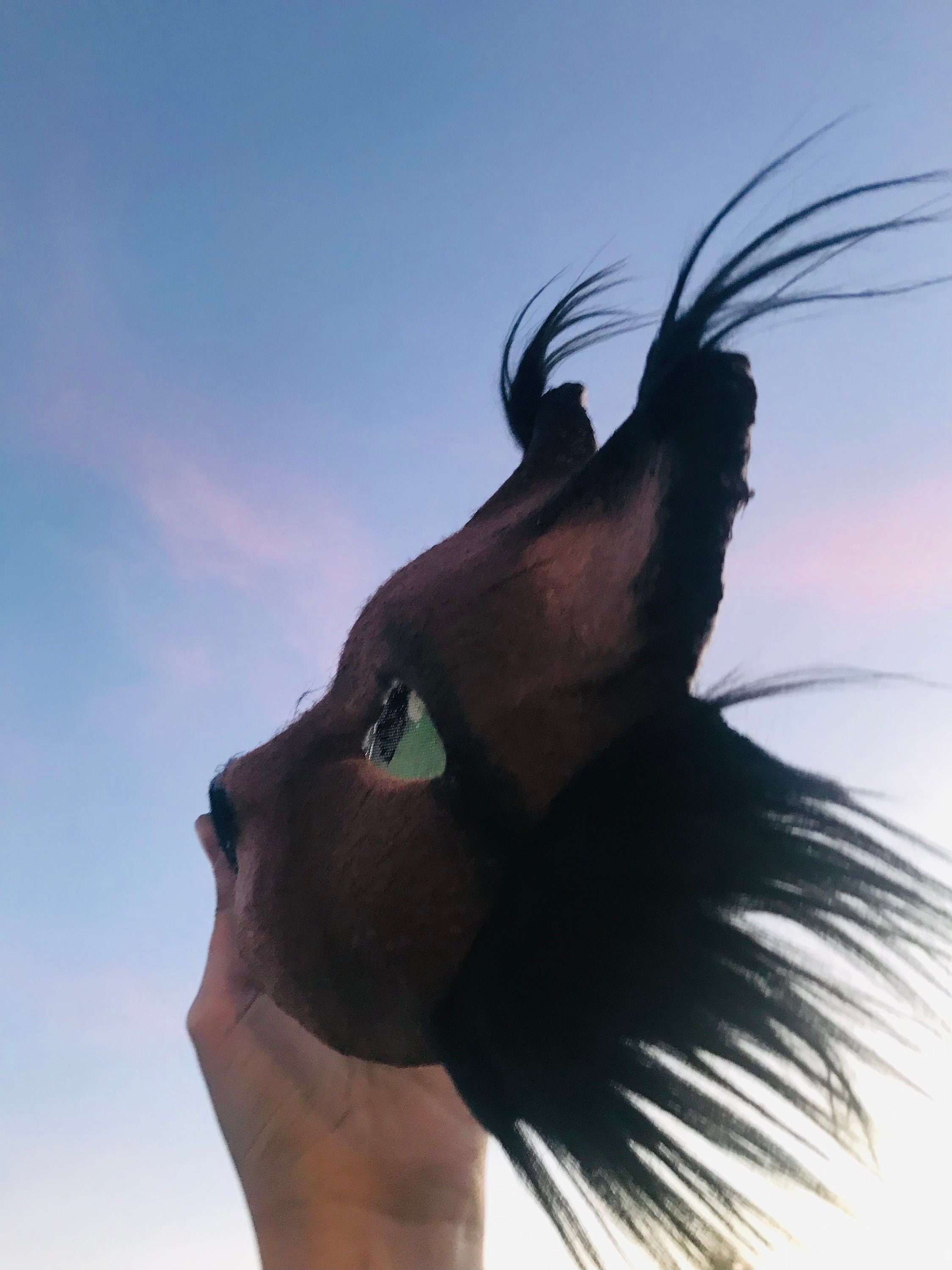 Lynx Mask Premade - Etsy