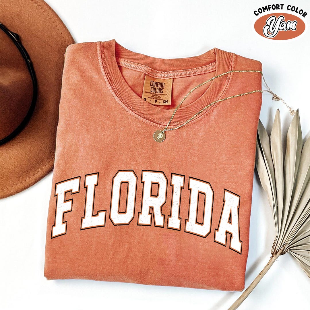 Comfort Colors Florida Shirt, Vintage Florida Tshirt, Florida Travel ...