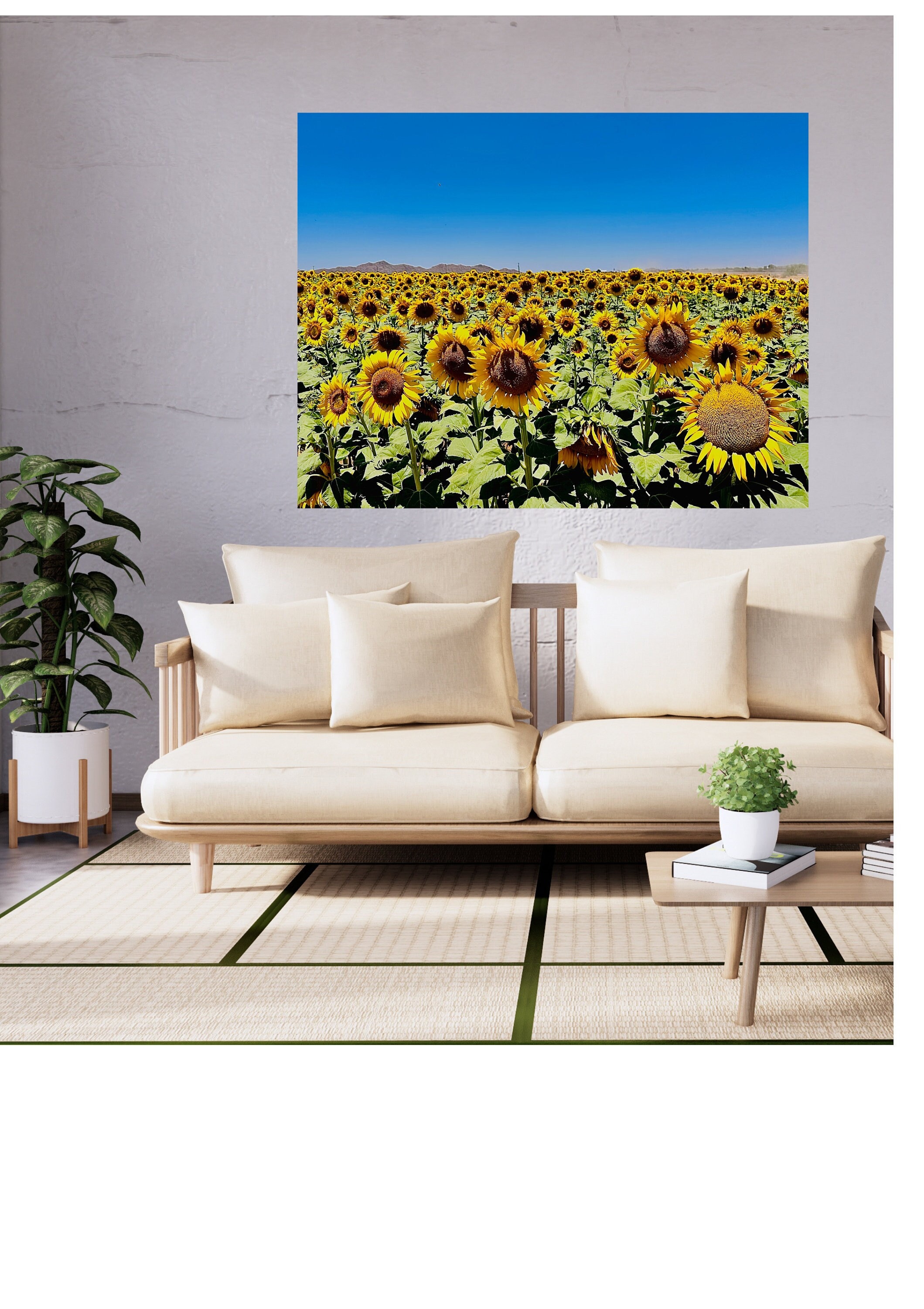 Field of Sunflowers in Arizona, a Color Photo on Canvas - Etsy