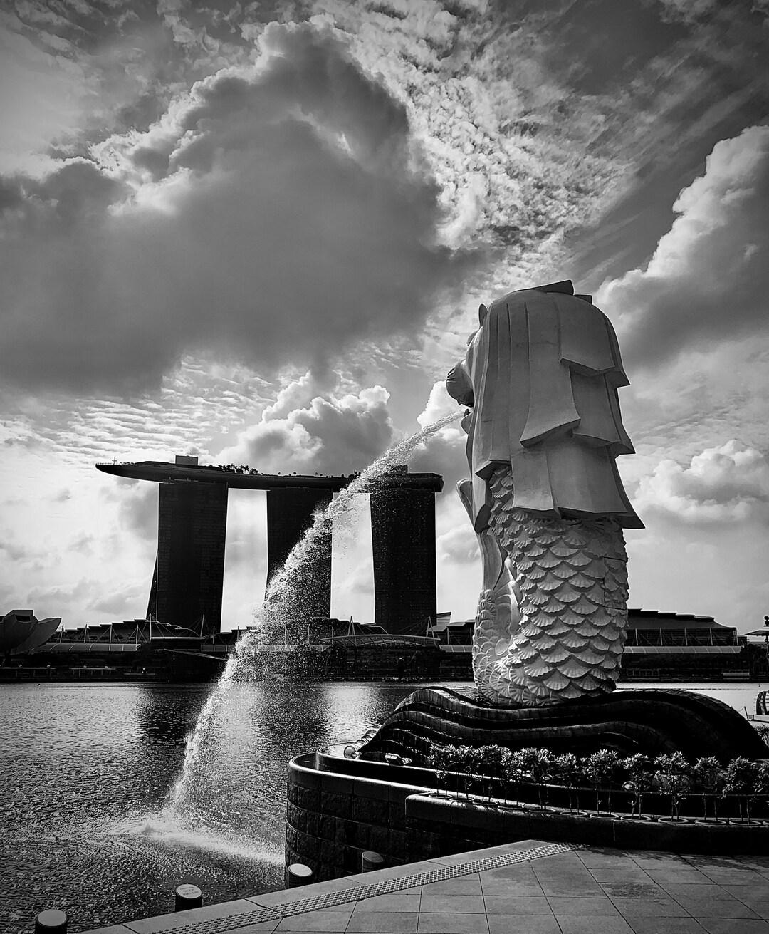 Merlion Water Fountain in Singapore. Photo Taken in Black and White for ...