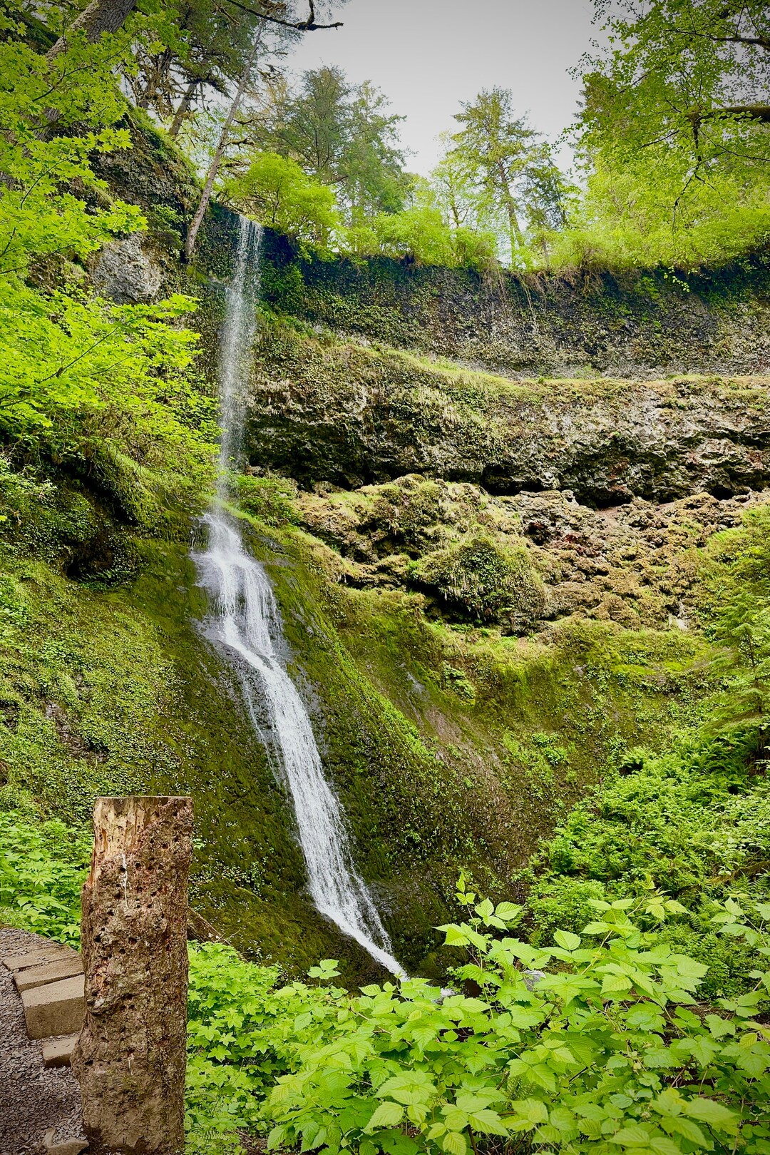Winter Falls Cascading Down Amongst the Bright Green Scenery , Silver ...