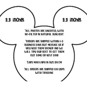 Elsa Minnie Ears, Elsa Mouse Ears, Elsa Ears, Frozen Ears, Frozen ...