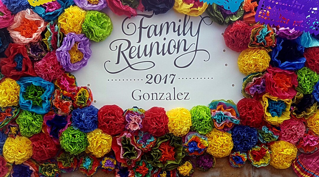 Tissue Mexican Paper Flowers Photo Wall Tissue Pom Poms - Set of 20 ...