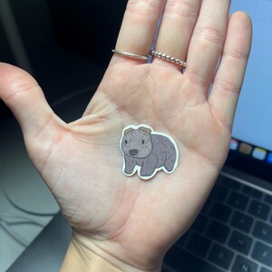 Aussie Natives X Iconic Aussie Items Stickers - Etsy