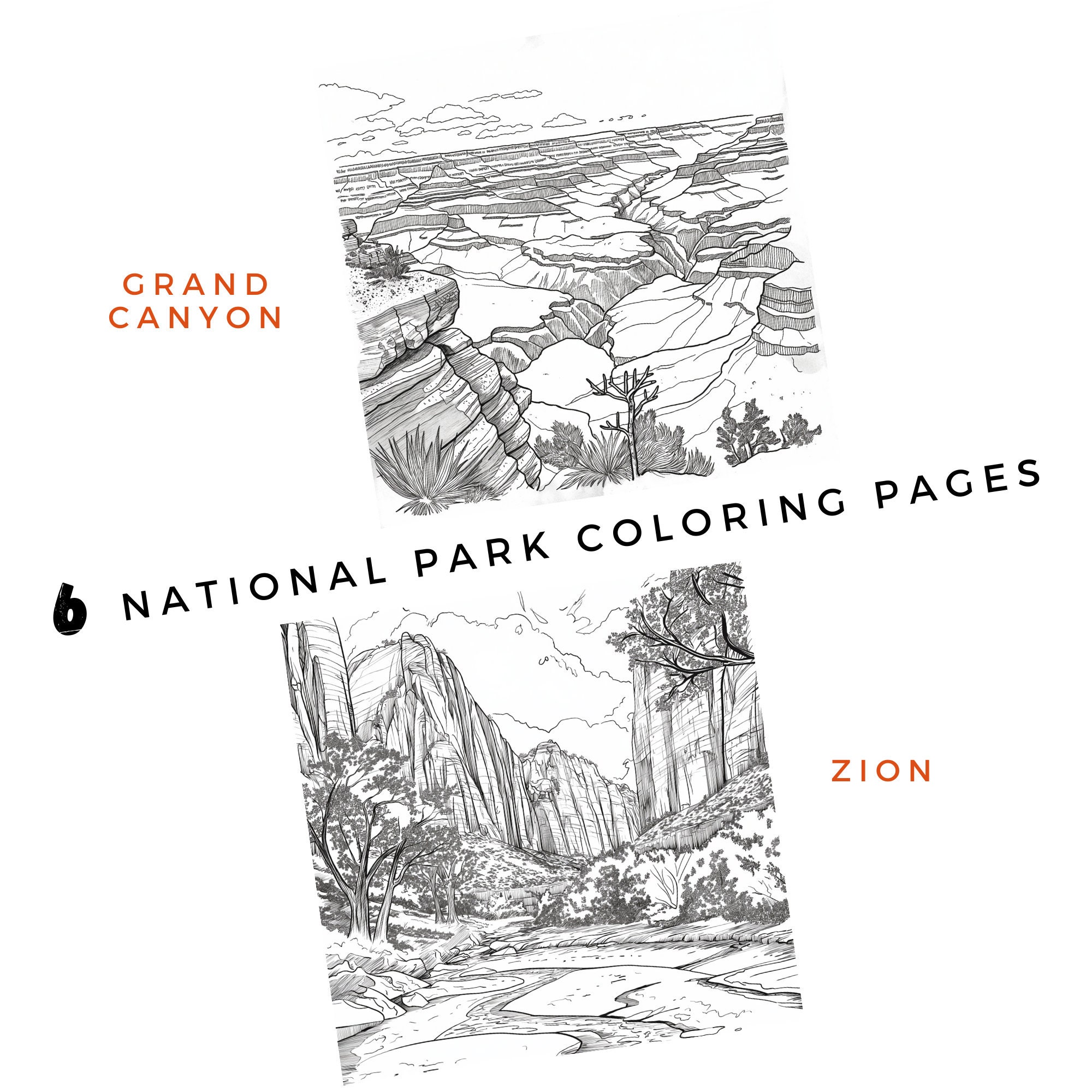 National Parks Coloring Pages, Digital Product, USA Parks Digital ...