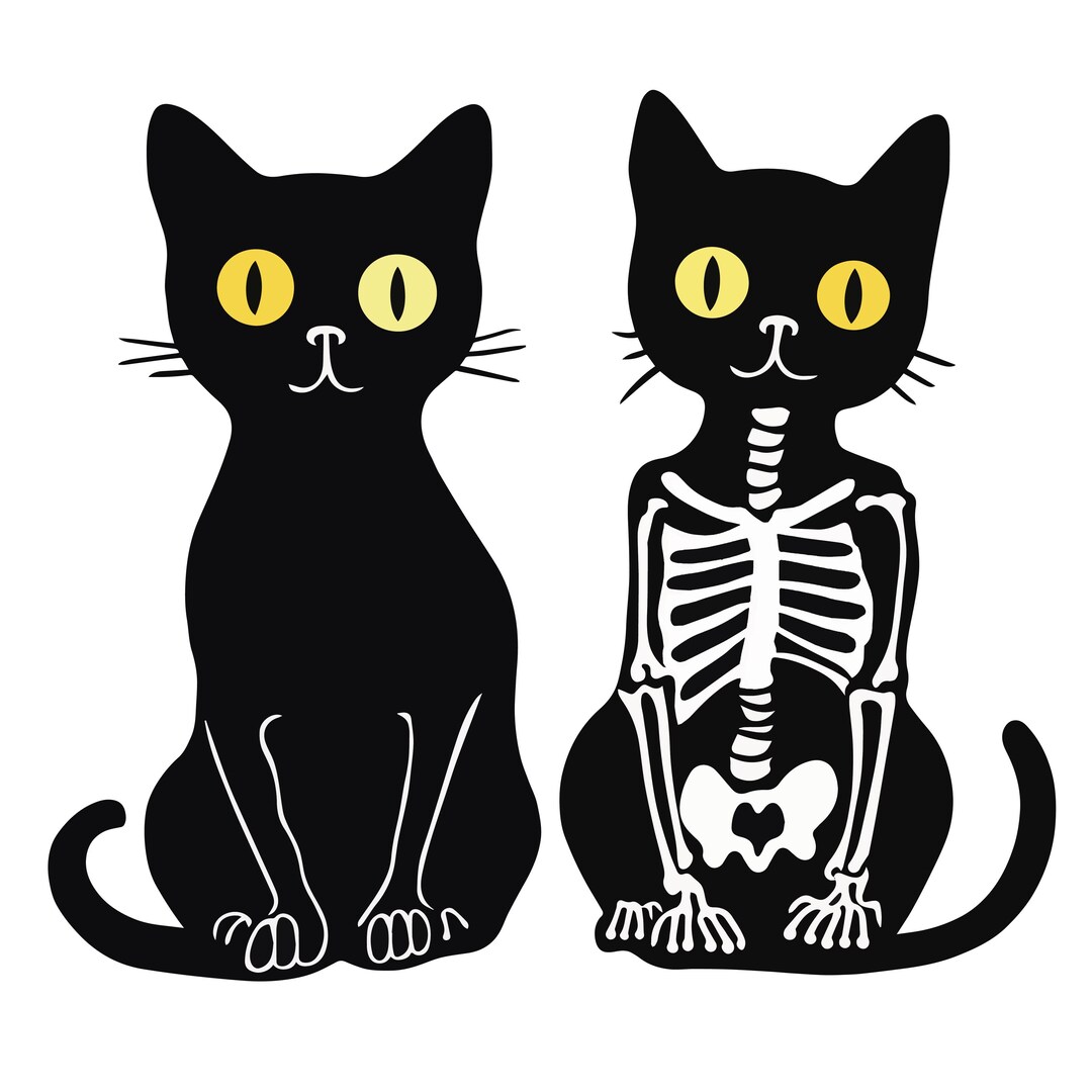 Halloween Svg, Black Cat Svg, Skeleton Cat Svg, Halloween Cat Svg ...