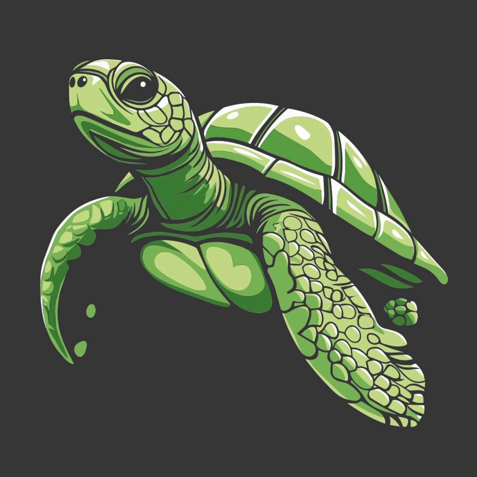 Turtle Svg, Turtle Png, Layered Turtle, Turtle Clipart, Turtle ...