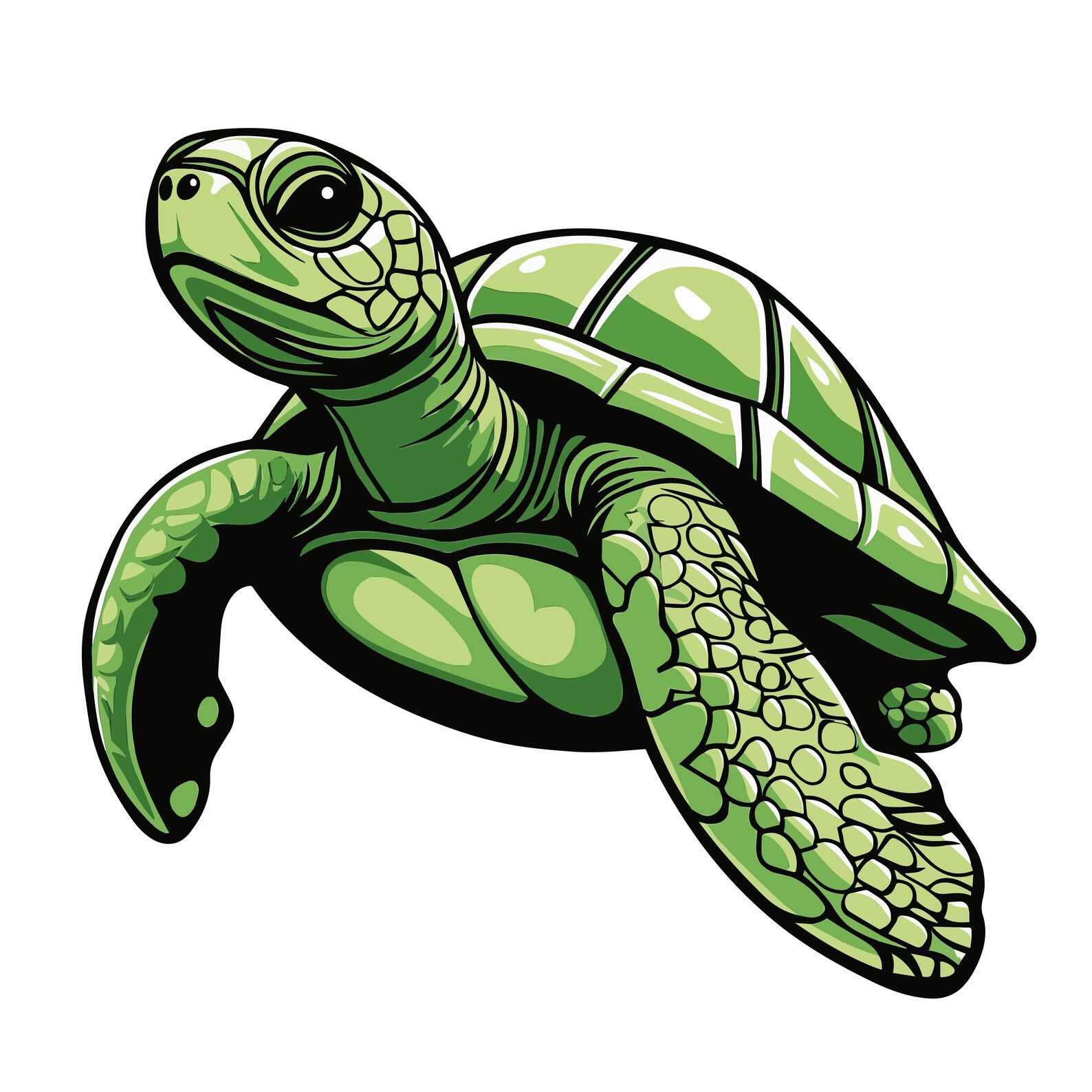 Turtle Svg, Turtle Png, Layered Turtle, Turtle Clipart, Turtle ...