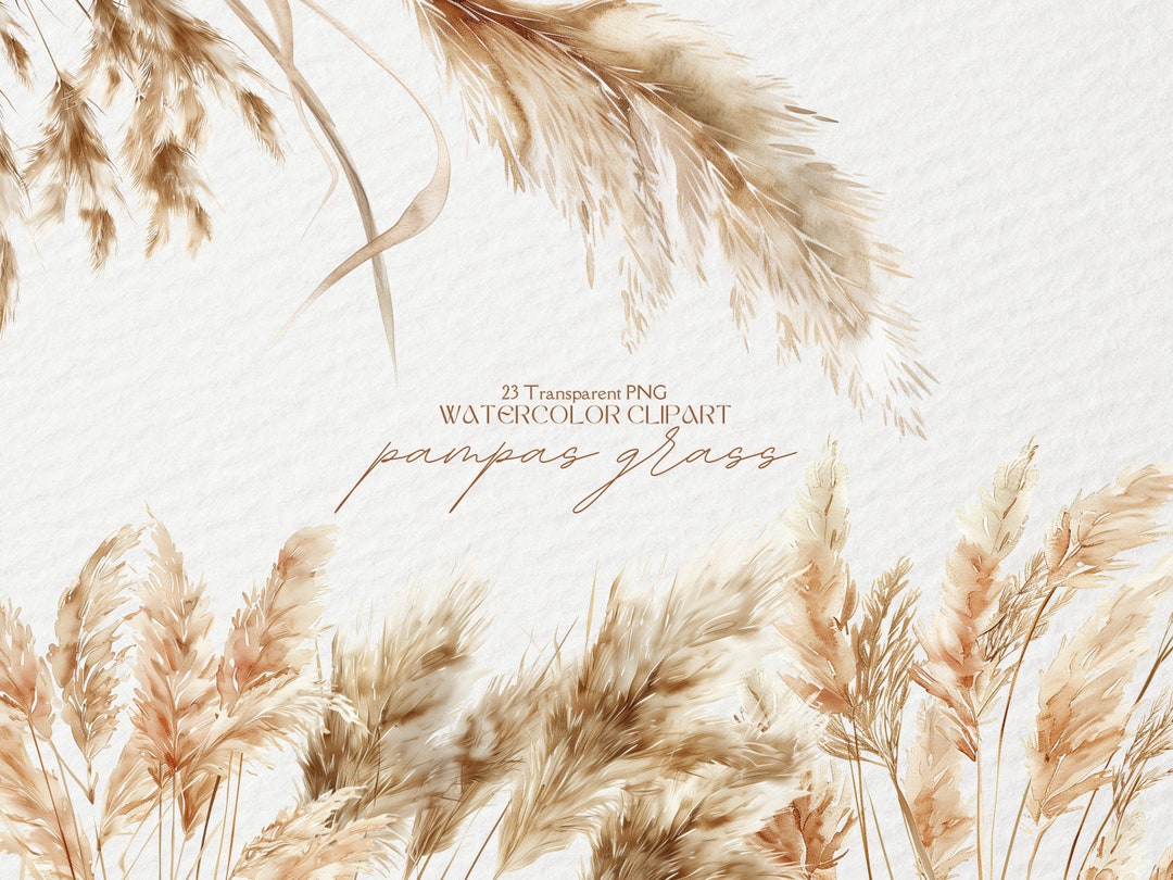 Watercolor Pampas Grass Clipart - Bohemian Clipart - Planner Stickers ...