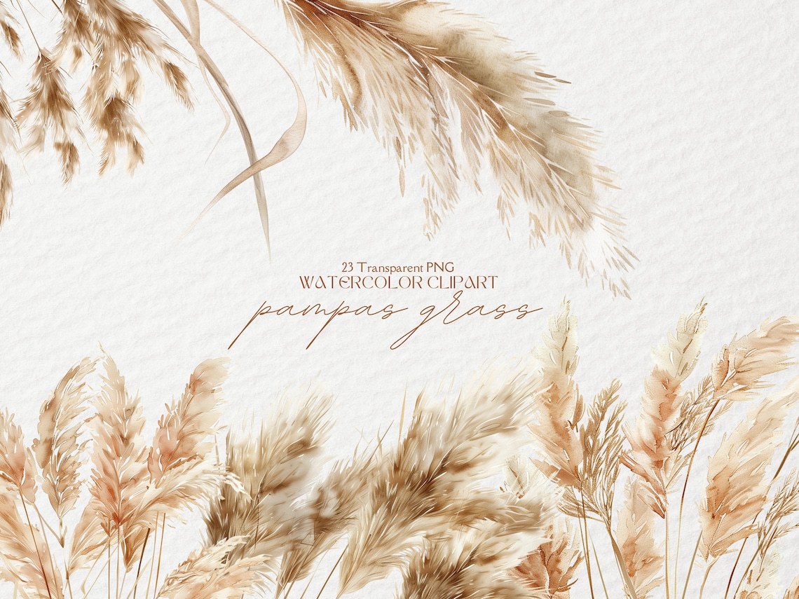 Watercolor Pampas Grass Clipart - Bohemian Clipart - Planner Stickers ...