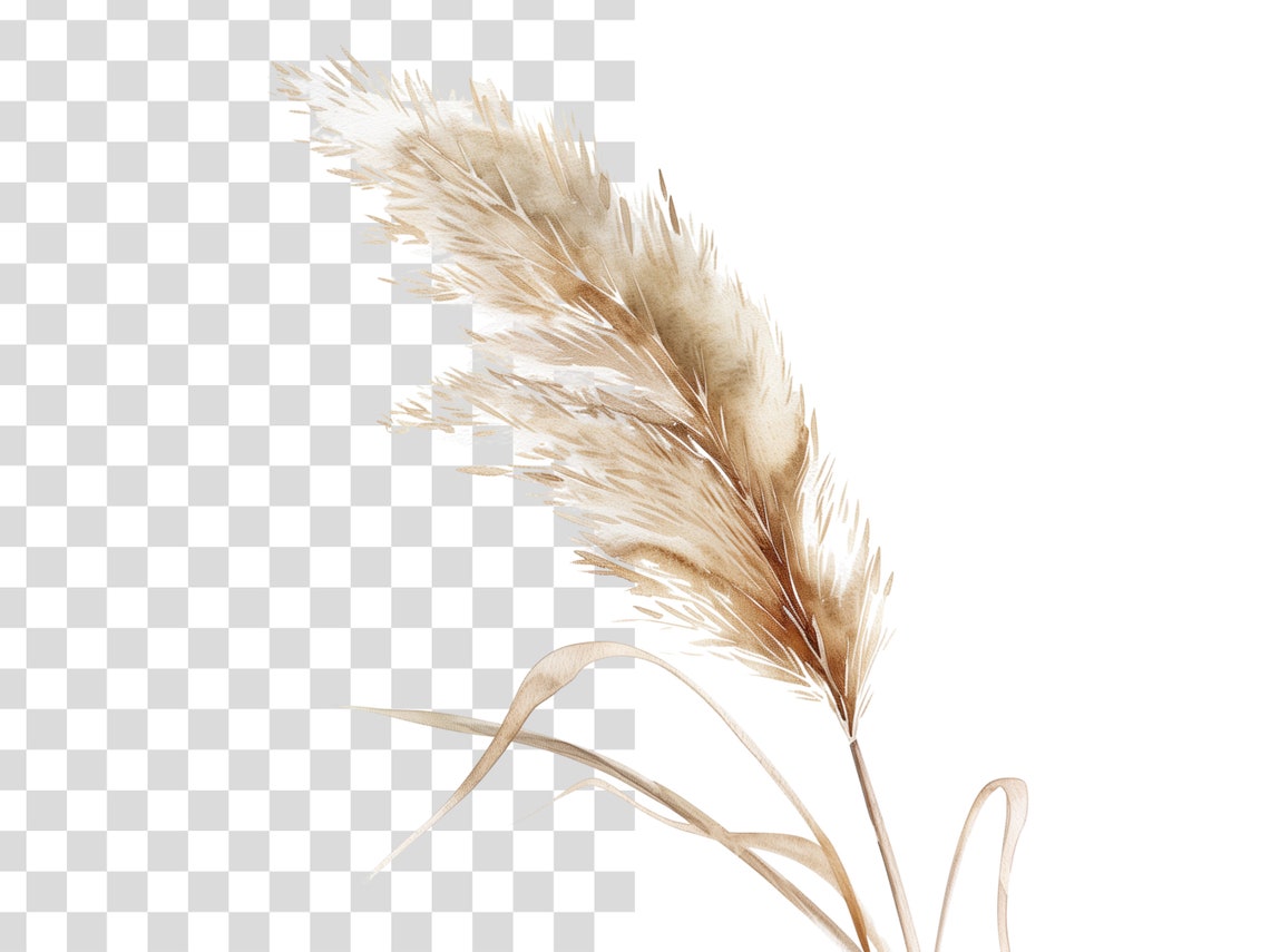 Watercolor Pampas Grass Clipart - Bohemian Clipart - Planner Stickers ...