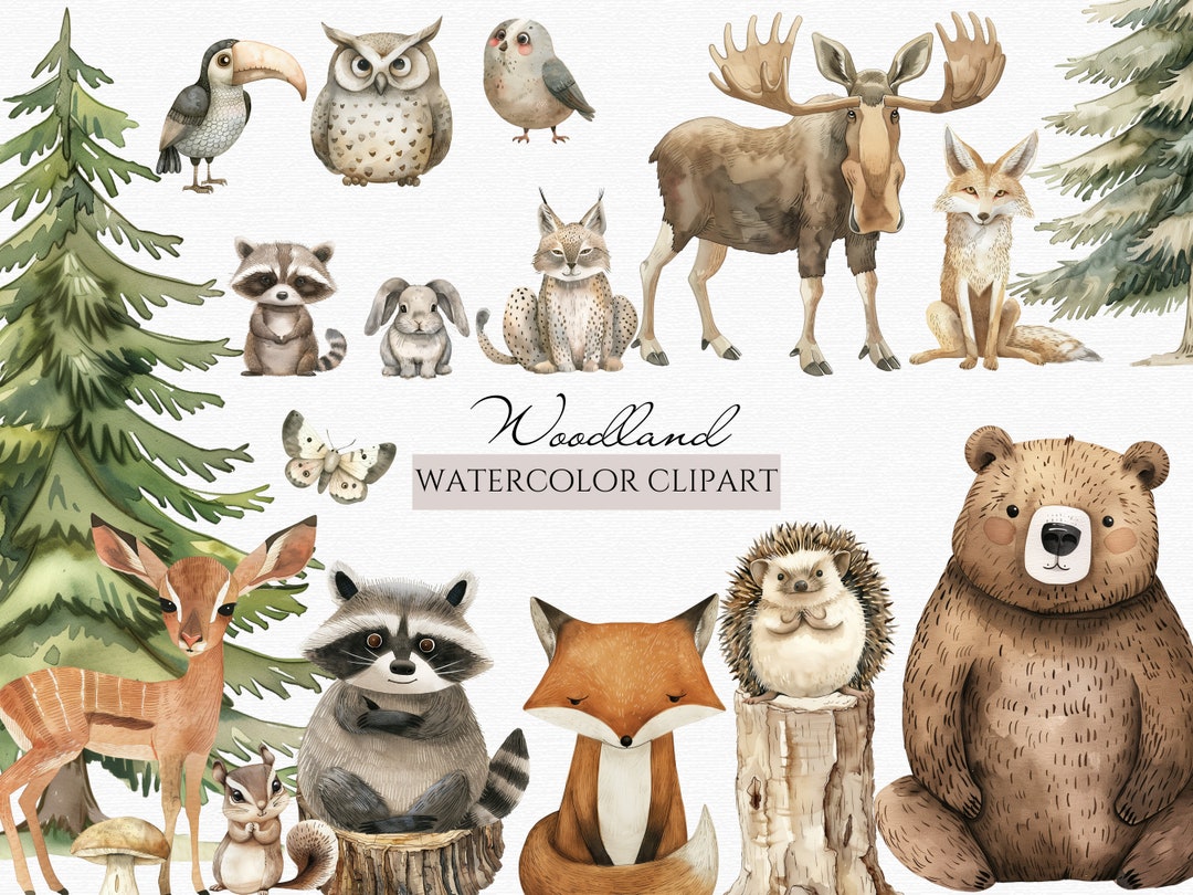 Watercolor Woodland Animals Clipart Bundle - Digital Download - Nursery ...
