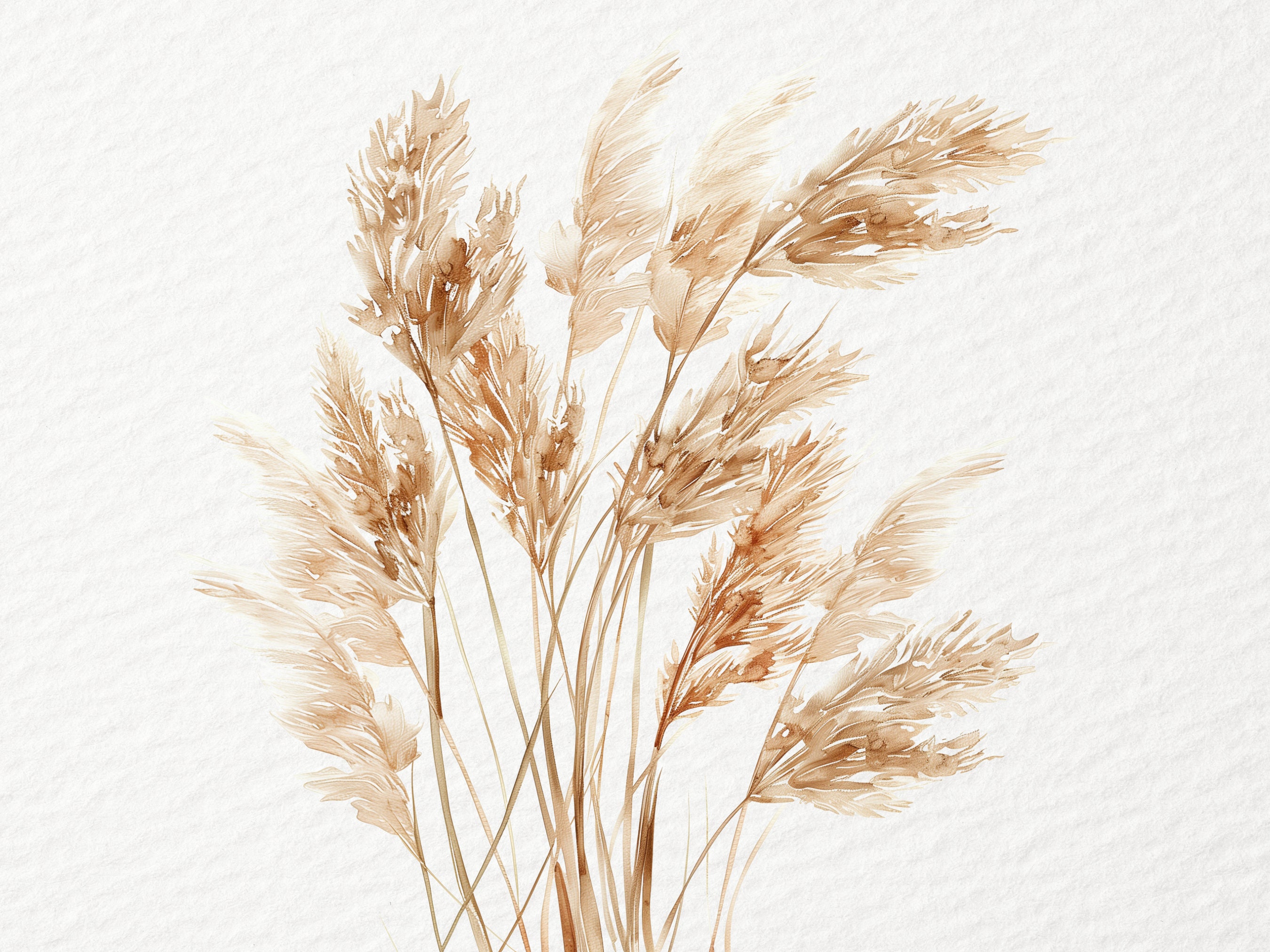 Watercolor Pampas Grass Clipart - Bohemian Clipart - Planner Stickers ...