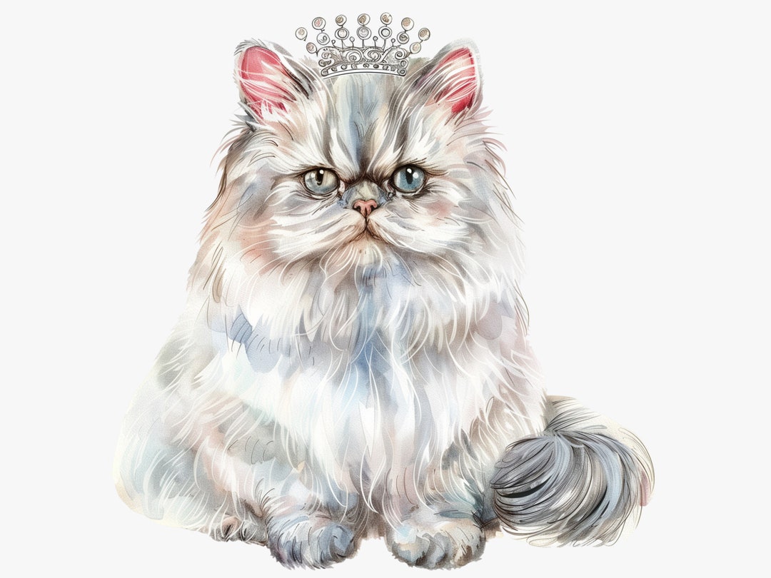 Persian Cat Clipart - Watercolor Cat Clipart - Cute Persian Cat PNG ...