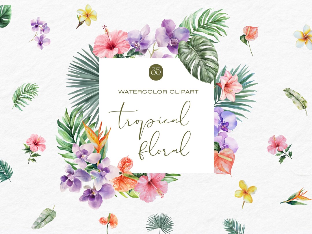 Watercolor Tropical Floral Clipart - Tropical Leaf Clipart - Tropical ...