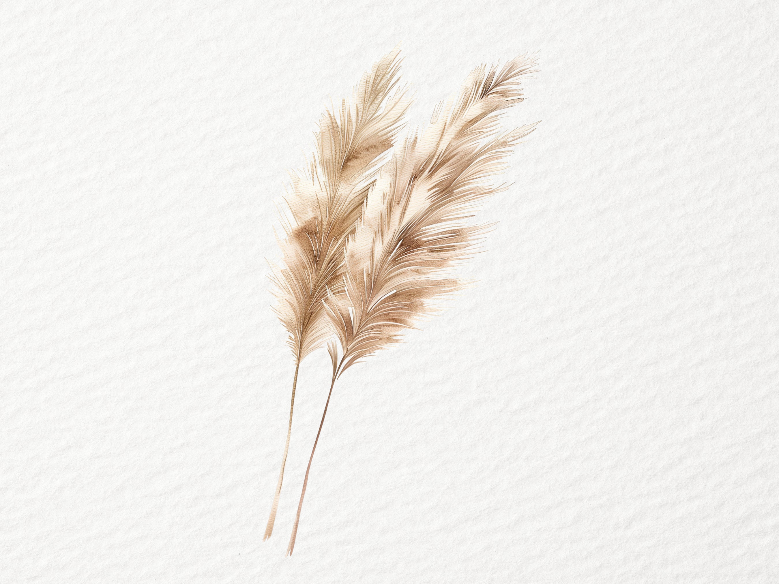 Watercolor Pampas Grass Clipart - Bohemian Clipart - Planner Stickers ...