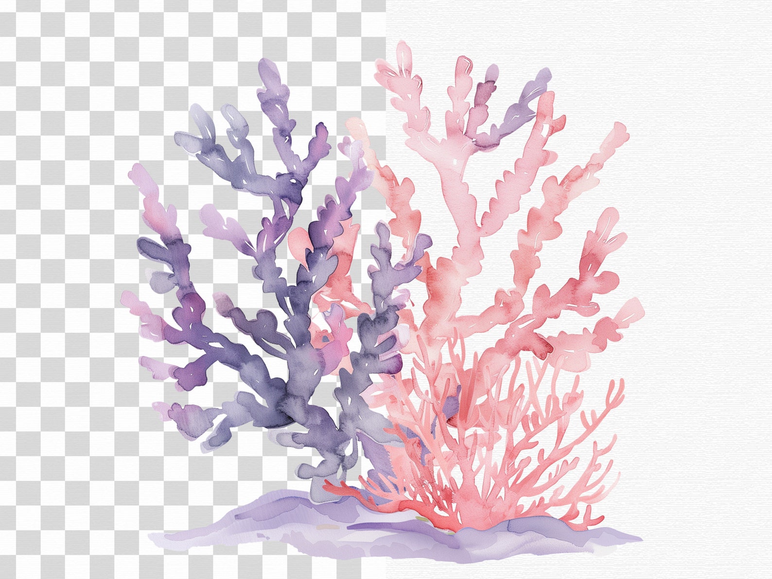 Pink Sea Animals Clipart, Little Sea Animal Clipart, Undersea ...