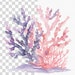 Pink Sea Animals Clipart, Little Sea Animal Clipart, Undersea ...