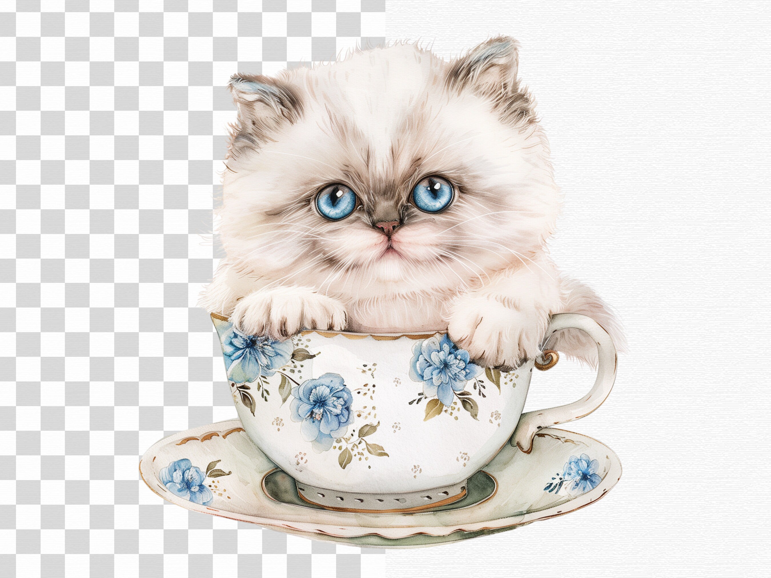Persian Cat Clipart - Watercolor Cat Clipart - Cute Persian Cat PNG ...